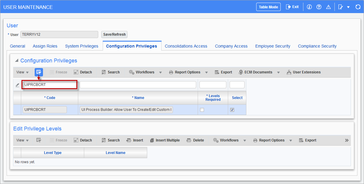 Security Setup: Grant Privilege for Process Builder Security Setup: Grant Privilege for Process Builder