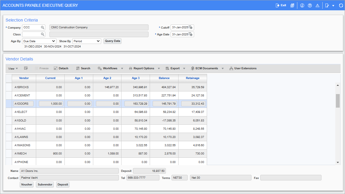 Accounts Payable - Executive Query