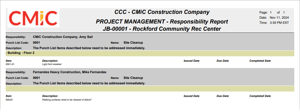 Punch List Reports