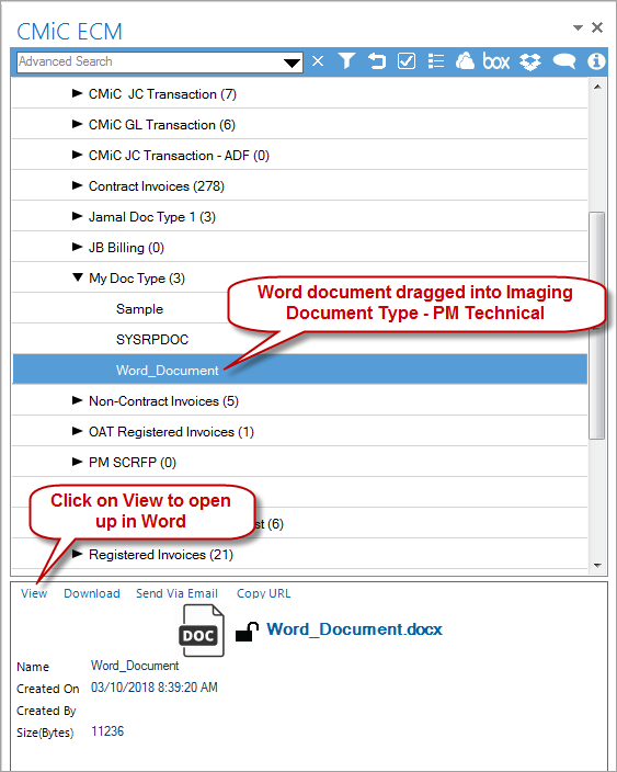 Enterprise Content Management - Activating the Document Types
