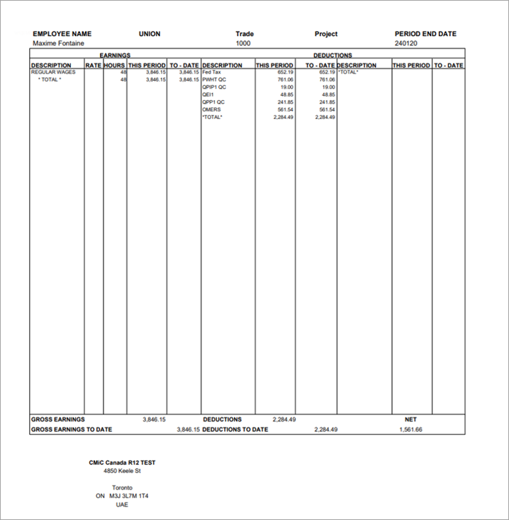 International Payroll - Standard CA Stub Formats