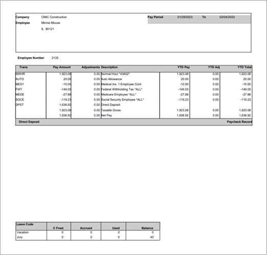 US Payroll - Standard PY Stub Formats