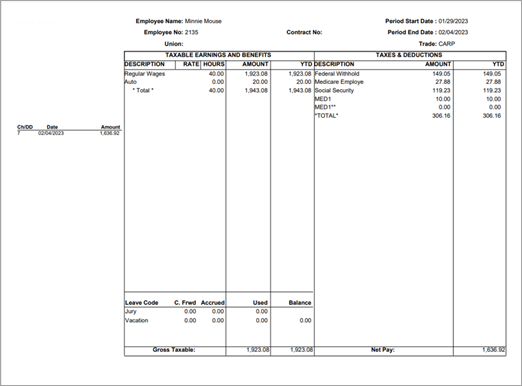 US Payroll - Standard PY Stub Formats