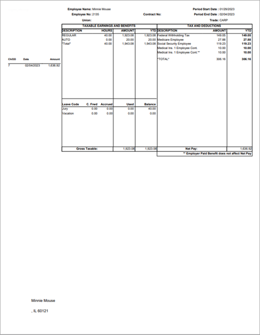 US Payroll - Standard PY Stub Formats