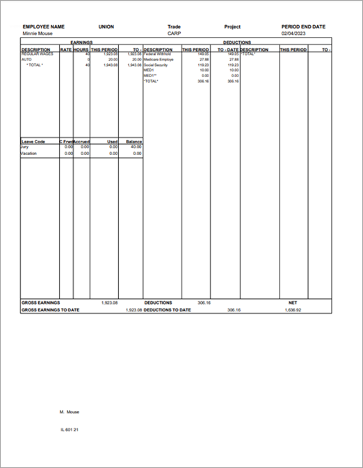 US Payroll - Standard PY Stub Formats