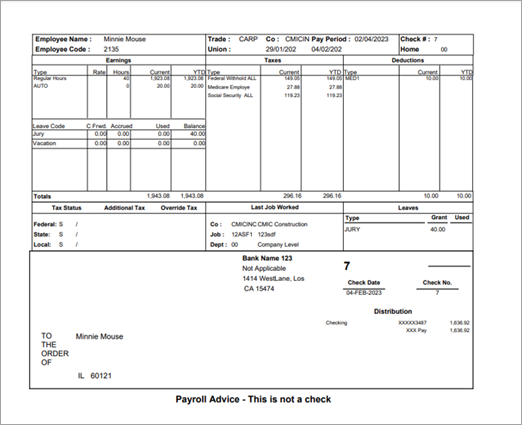 US Payroll - Standard PY Stub Formats